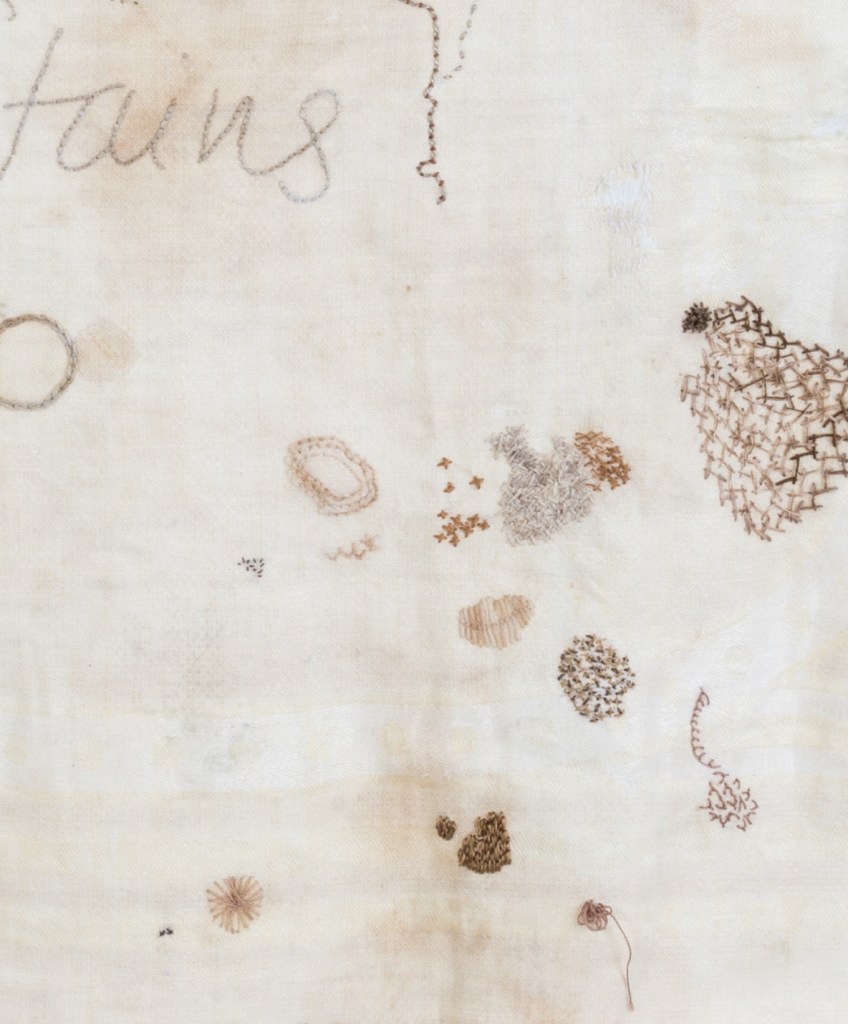 The Beauty of Stains – Ruth Singer