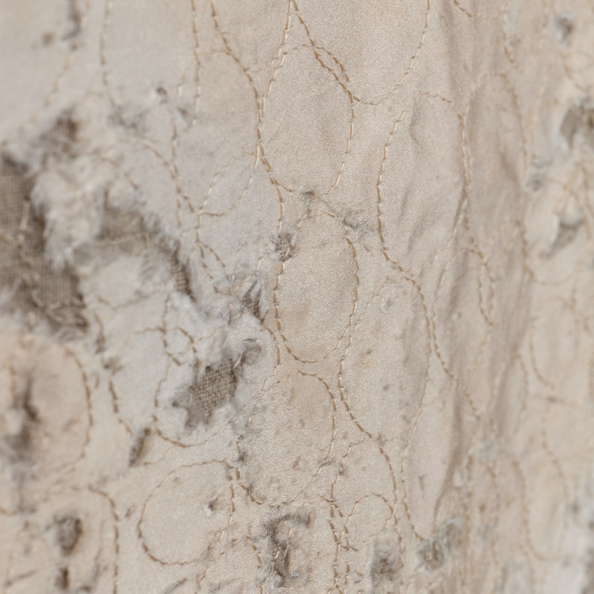 Ruth Singer – Copyright Ruth Singer © 2024