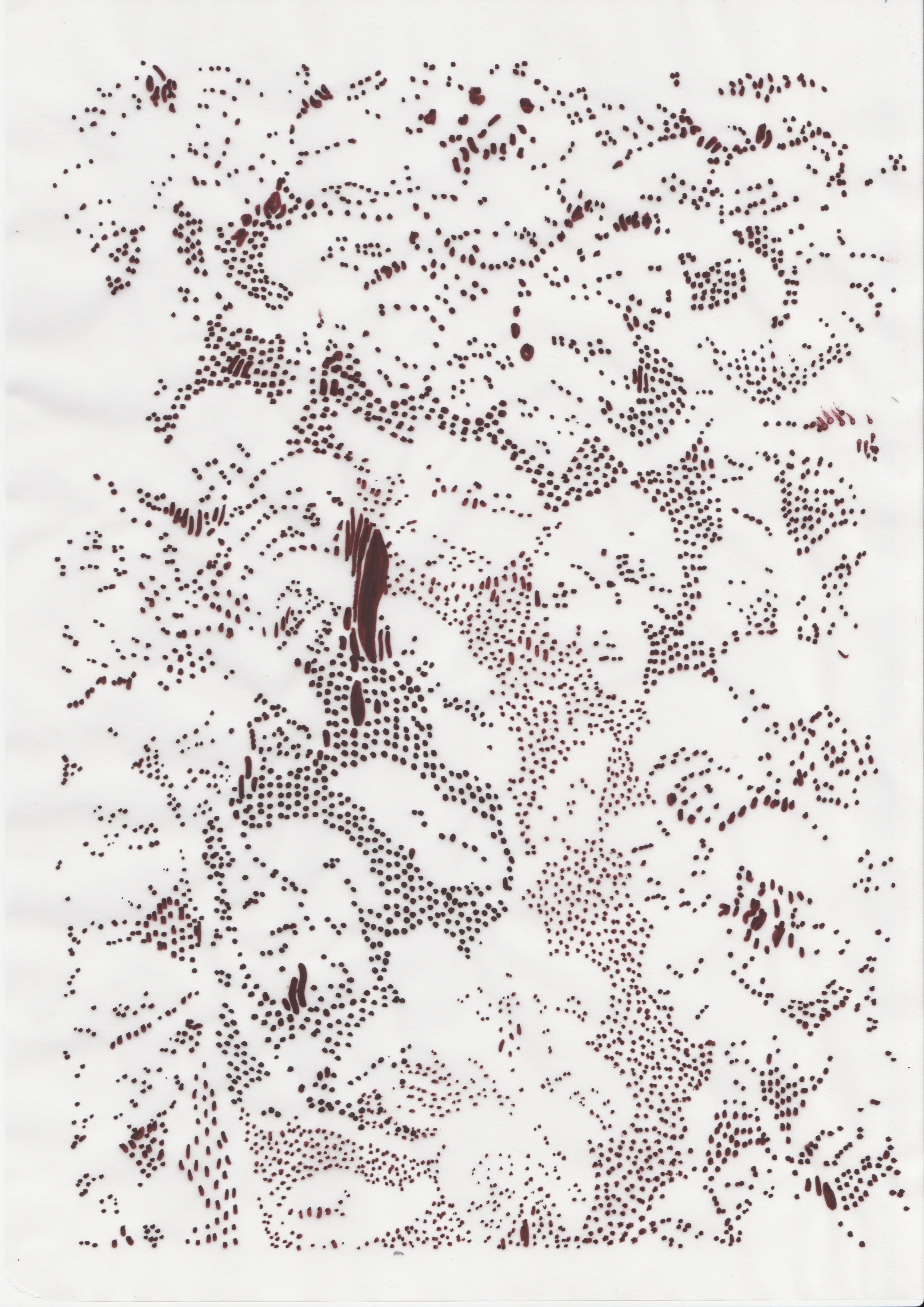 Imprint – Ruth Singer