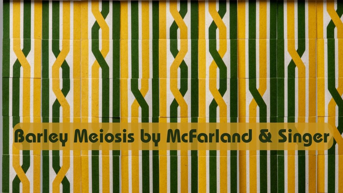 Art-Science project installed in The James Hutton Institute – Ruth Singer